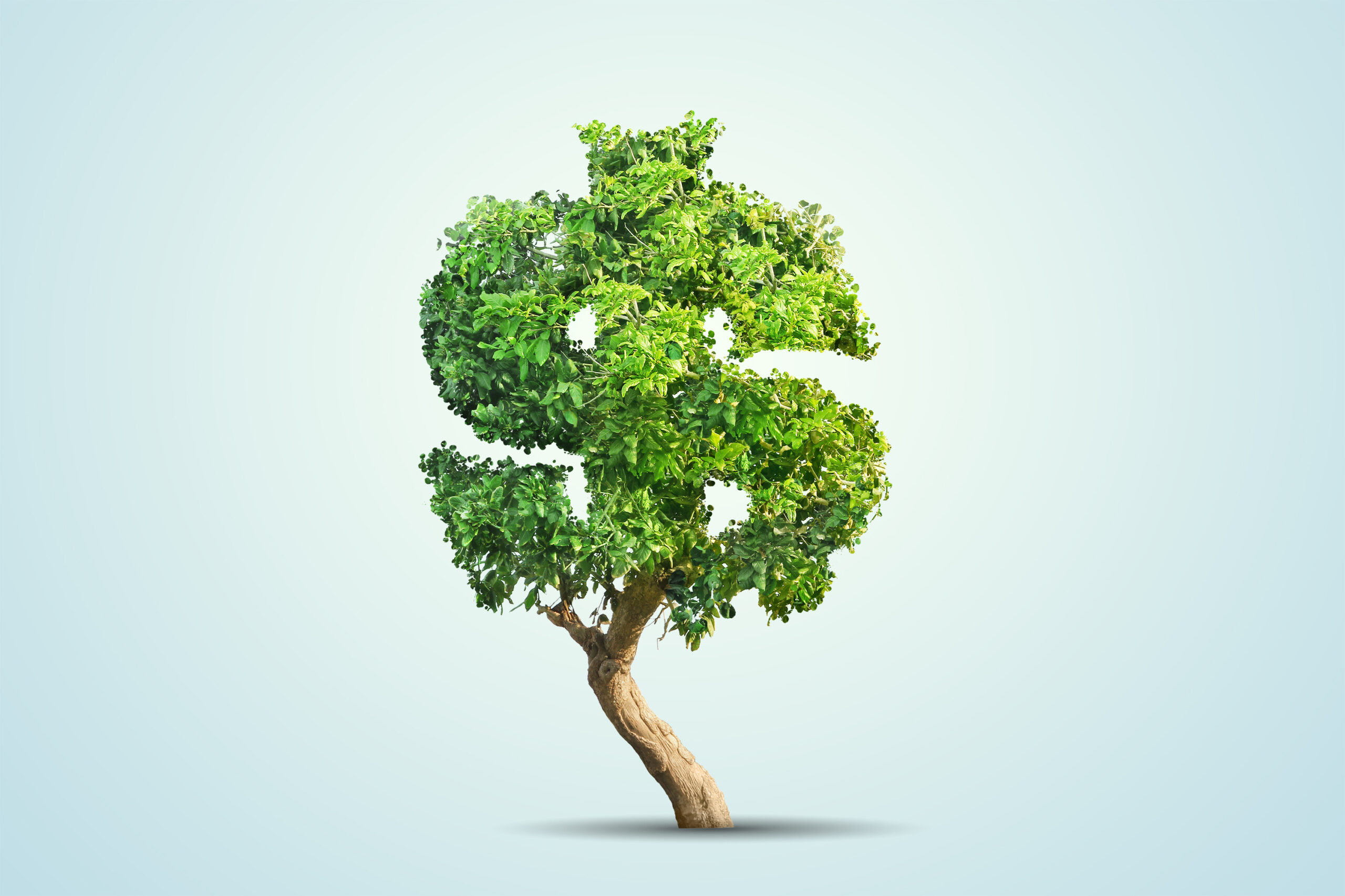 Life Cycle Cost Analysis LCCA NWFA